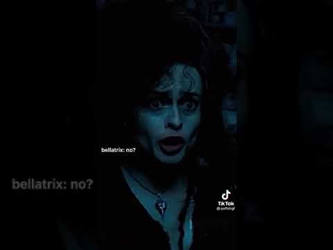 POV : No ones know y/n is bellatrix Child (@pottahgf)