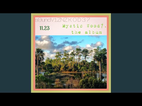Immune To Lame (feat. dntlsnhem & phraseROK)