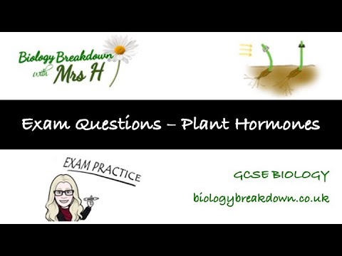 GCSE Exam Questions - Plant hormones
