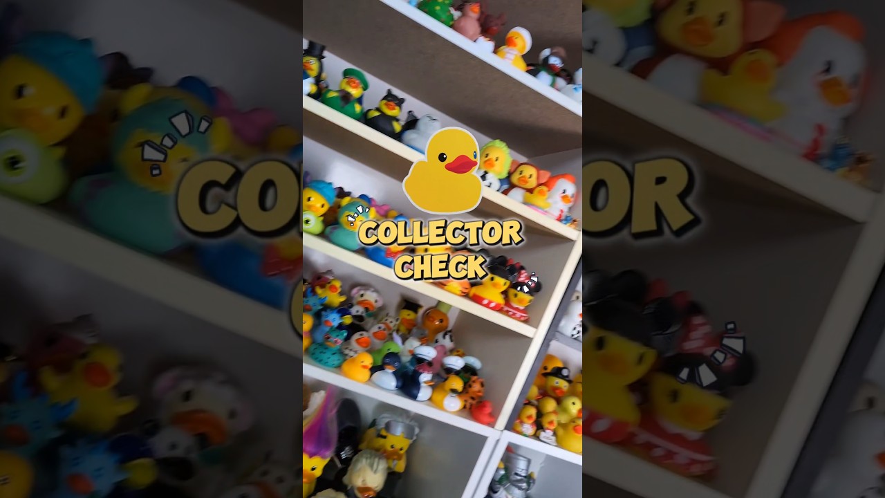Rubber Duck Collector Check! #duck #ducky #rubberducky #rubberduck #collection #collectorcheck