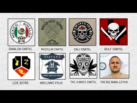 Every Major Drug Empires (Cartels) Explained In 11 Minutes