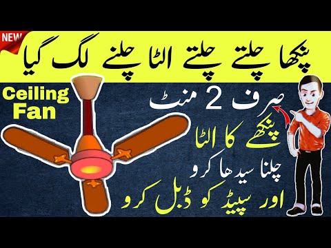 Fixing Ceiling Fan Anti-Clockwise Rotation Problem: A Step-by-Step Solution | Electric Online