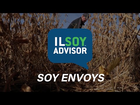 Treating Seed with UV Light