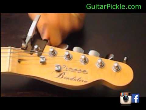 Timara String Drop | Reverb