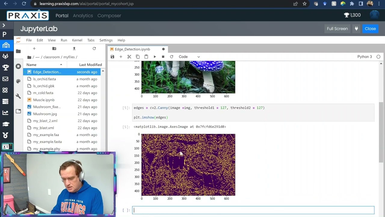 Python - Edge Detection (OpenCV) - VDB Computational Biology
