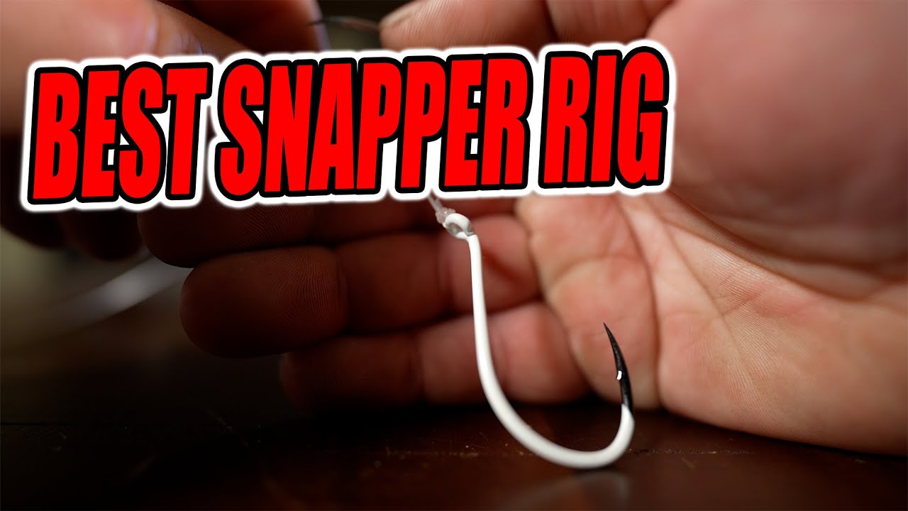 BEST Snapper Rig That Always Works 🎣 (Easy Tutorial)