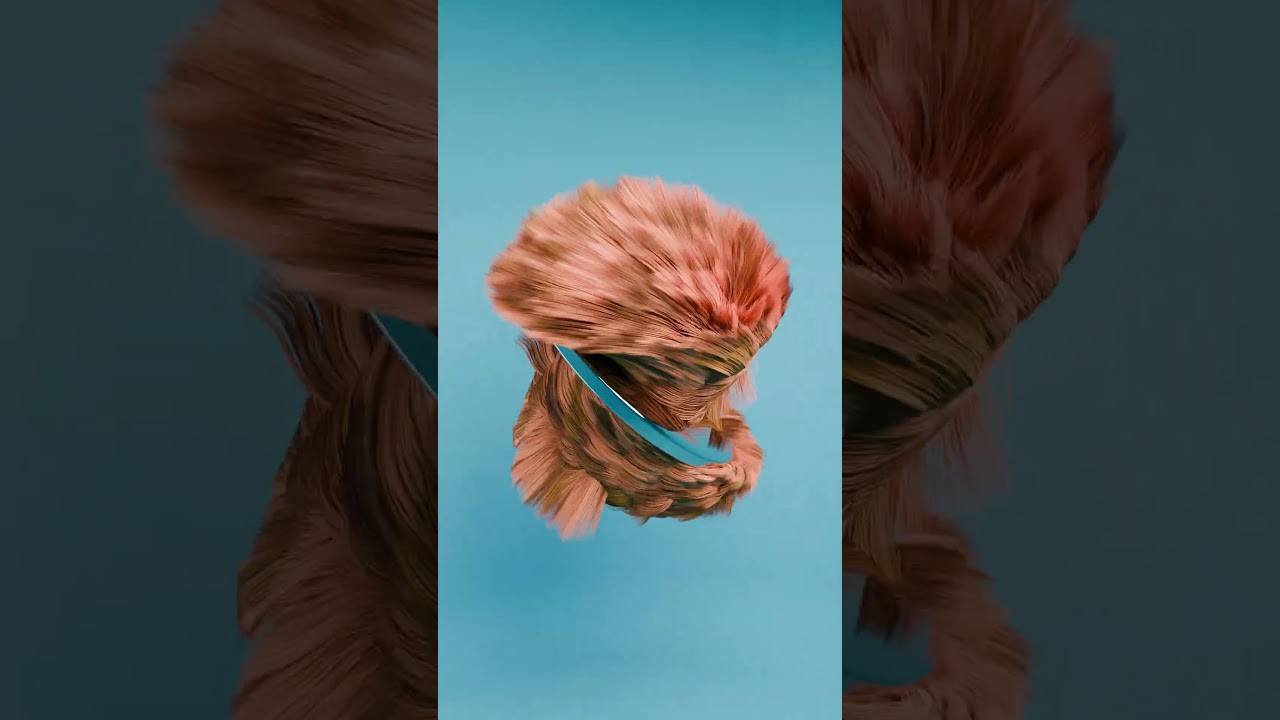 A 3D Hair Dynamics Simulation - Part 3 - #3danimation #blender #simulation