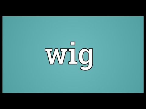 Wig Meaning