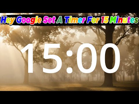 [COUNTDOWN] Hey Google Set a Timer for 15 Minutes