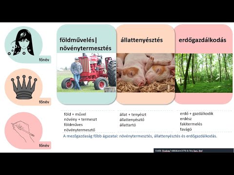 Agricultural Vocabulary in Hungarian │B2│🇭🇺