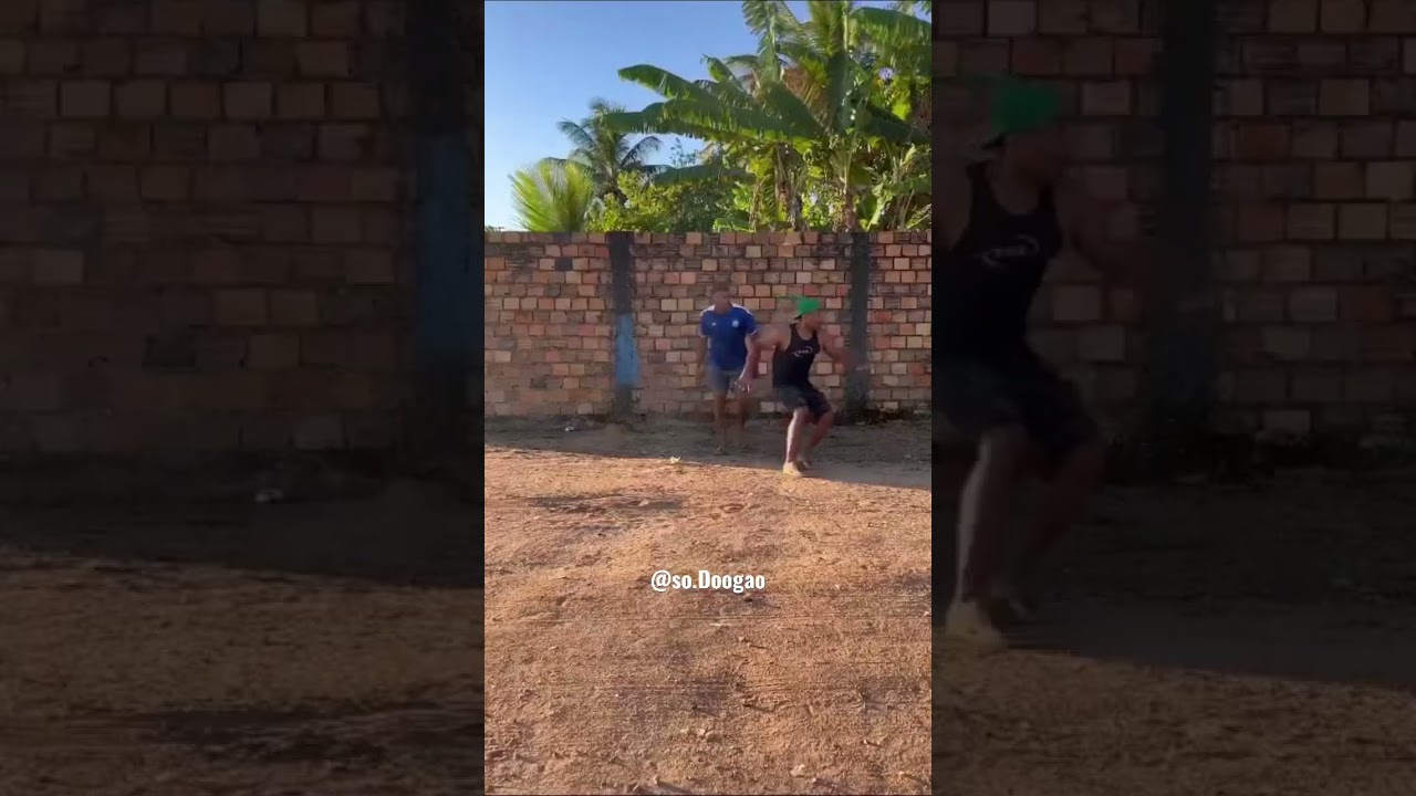 Pitbul bota ladrão pra correr #pets #brasil #viralizounainternet #pitbull #videosengraçados #viral