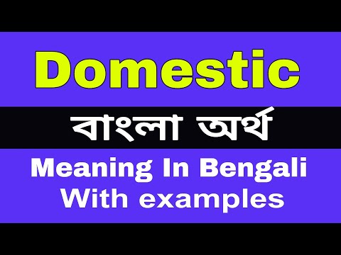 Domestic Meaning in bengali / Domestic শব্দের বাংলা ভাষায় অর্থ অথবা মানে কি