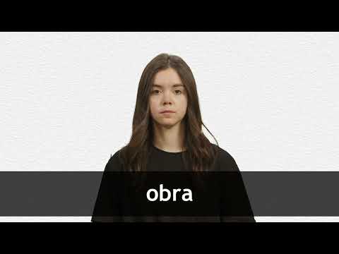 English Translation of “OBRA” | Collins Spanish-English Dictionary