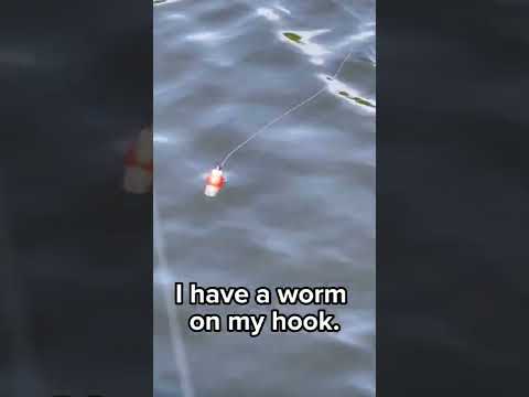 English Conversation Practice - Lets go Fishing #englishlesson #learnenglish