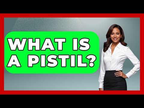 What Is A Pistil? - The Plant Enthusiast