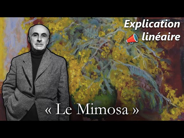 La Rage de l'expression, Ponge : 🔎 Le Mimosa (Explications et ...