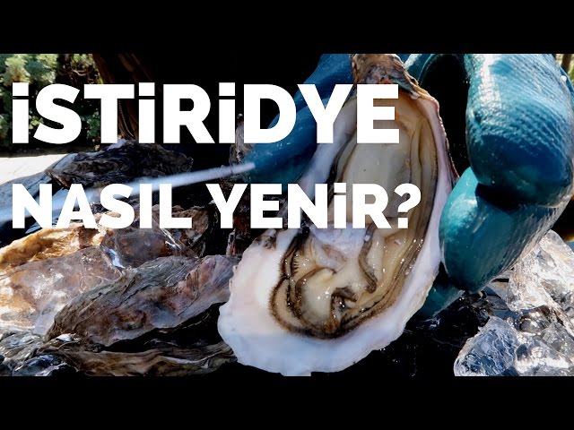 İstiridye Nedir? Nasıl Yenir? - Nefis Yemek Tarifleri