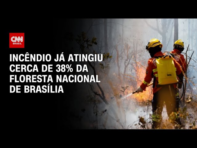 Incêndio já atingiu cerca de 38% da Floresta Nacional de Brasília | CNN ...