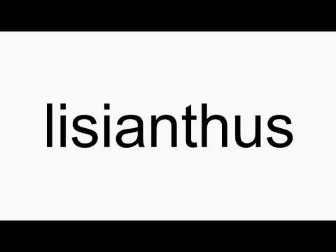 How to pronounce lisianthus