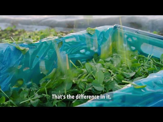 Organic Vegetable Boxes from Sprout Farm Dublin