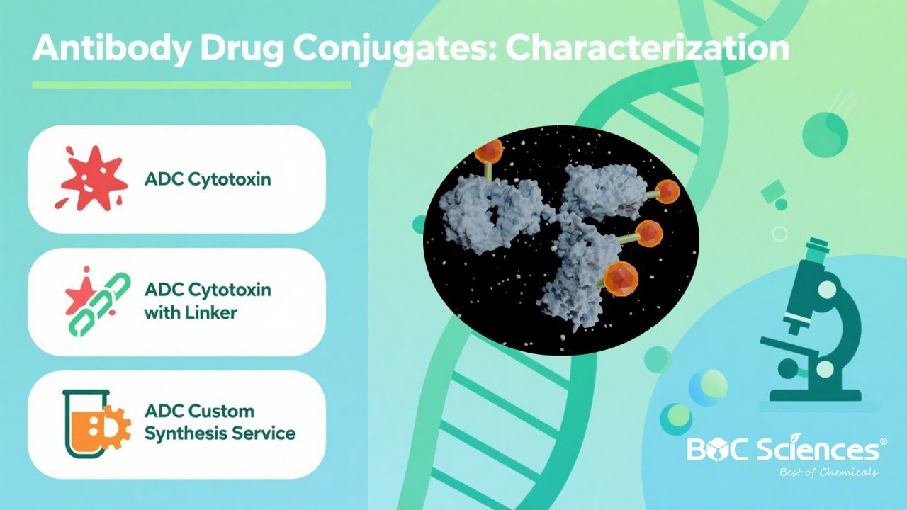 Antibody Drug Conjugates: Characterization Explained - ADC Drug Development Support - BOC Sciences