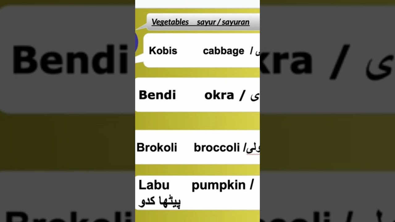 #english #learnurdu #malay #learnmalay #malaylanguage #travelmalaysia #learnenglish #sentences #part