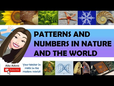 Patterns and Numbers in Nature and the World | Math in the Modern World | Aikz Adonis