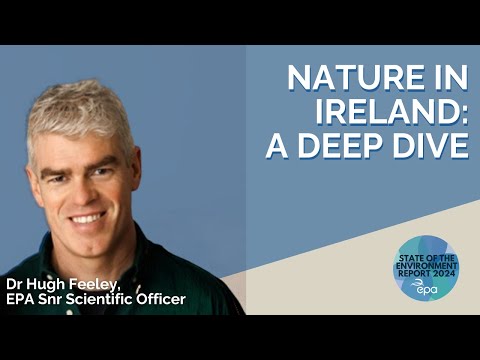 Nature in Ireland: A Deep Dive