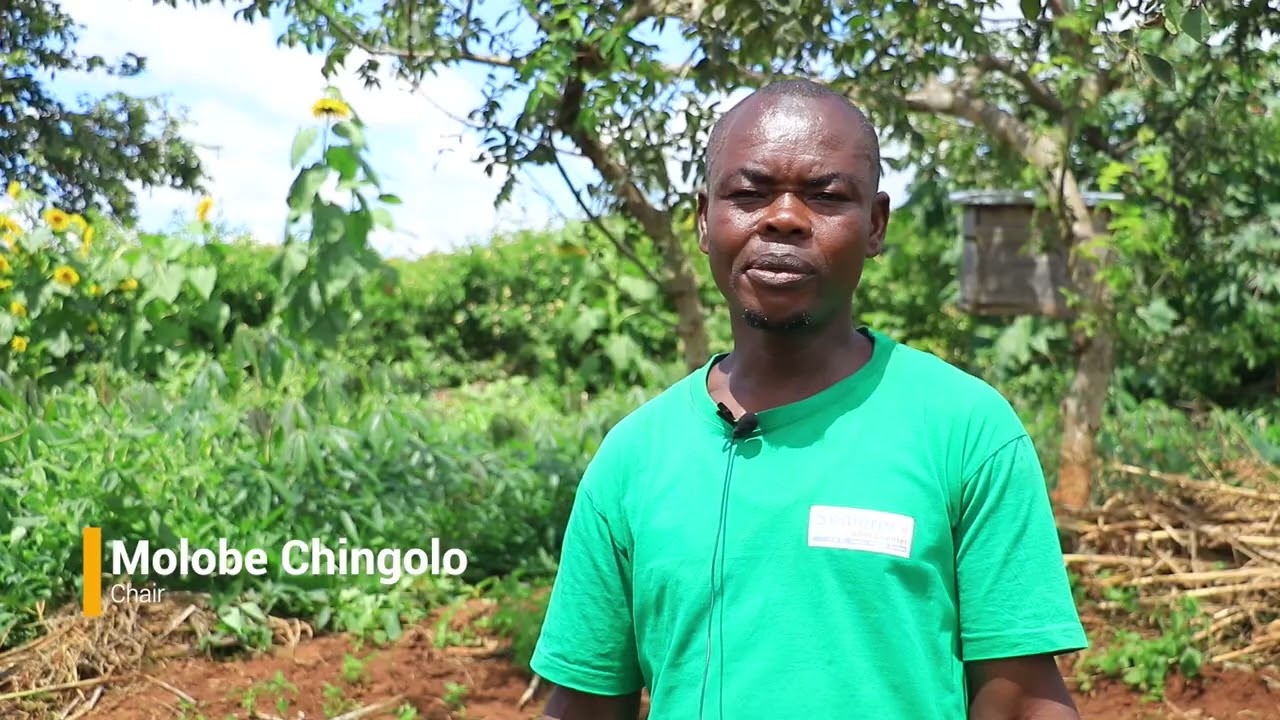 final Green livelihood