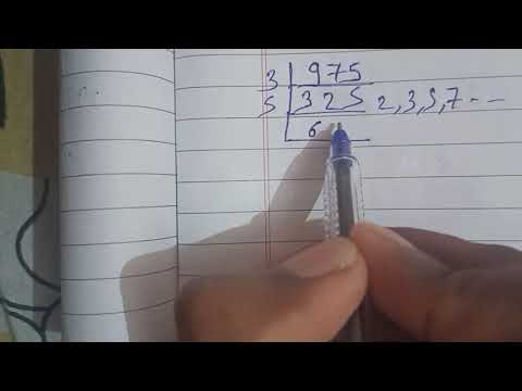 prime factors of 975