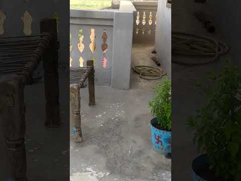 lucky luc ghumte hue#shortvideo #π’π’π’π’π€©π₯°ππ’π’π’πΊπΊπΊπππ’π’π’π’