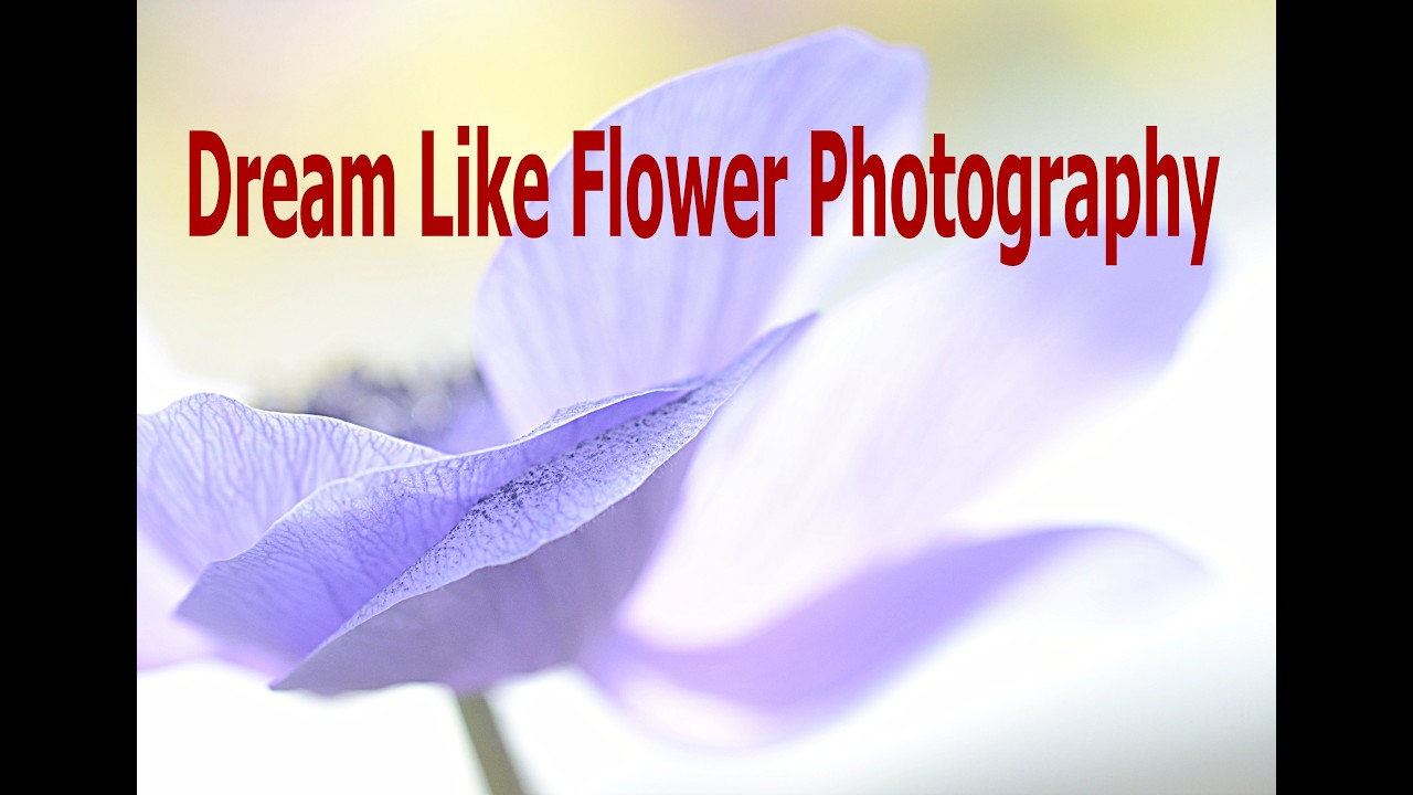 How to Create Dreamy Flower Photos with Your Macro Lens