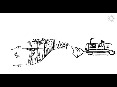 Ecosystem services