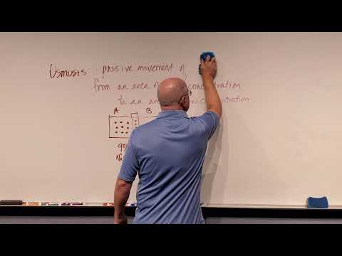 Professor Long - 2401 L1.9, Passive Transport, Osmosis and Diffusion, Tonicity
