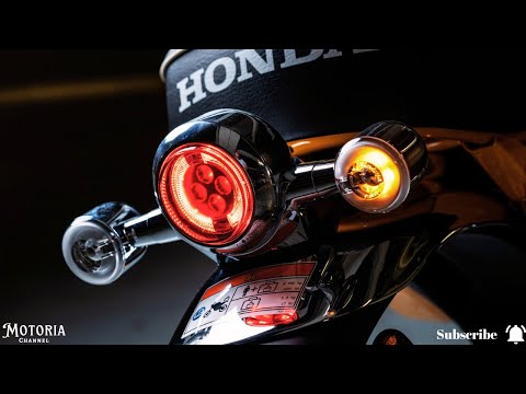 2024 Honda Monkey 125: Big Fun in a Small Package | Still the King of Minibikes?
