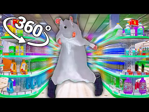 Rat dance - Supermarket in 360° Video | VR / 8K | ( Rat dance meme )