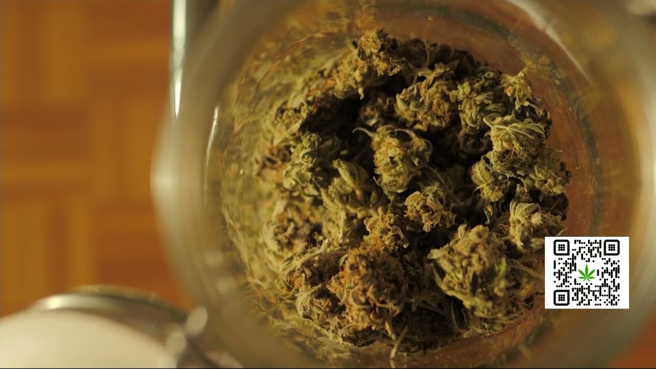 NY's Cannabis Control Board meets for 1st first time, expands medical marijuana access