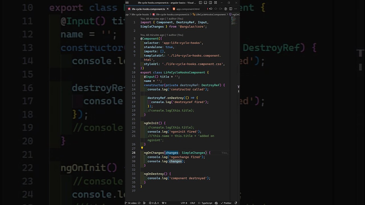 ngOnChanges SimpleChanges argument for the input values - #Angular17 #leelawebdev