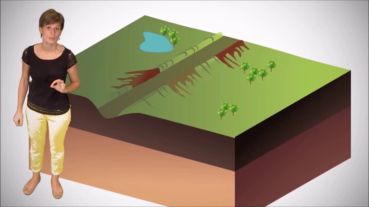Ocean trenches, mid-ocean ridges and plate movement.