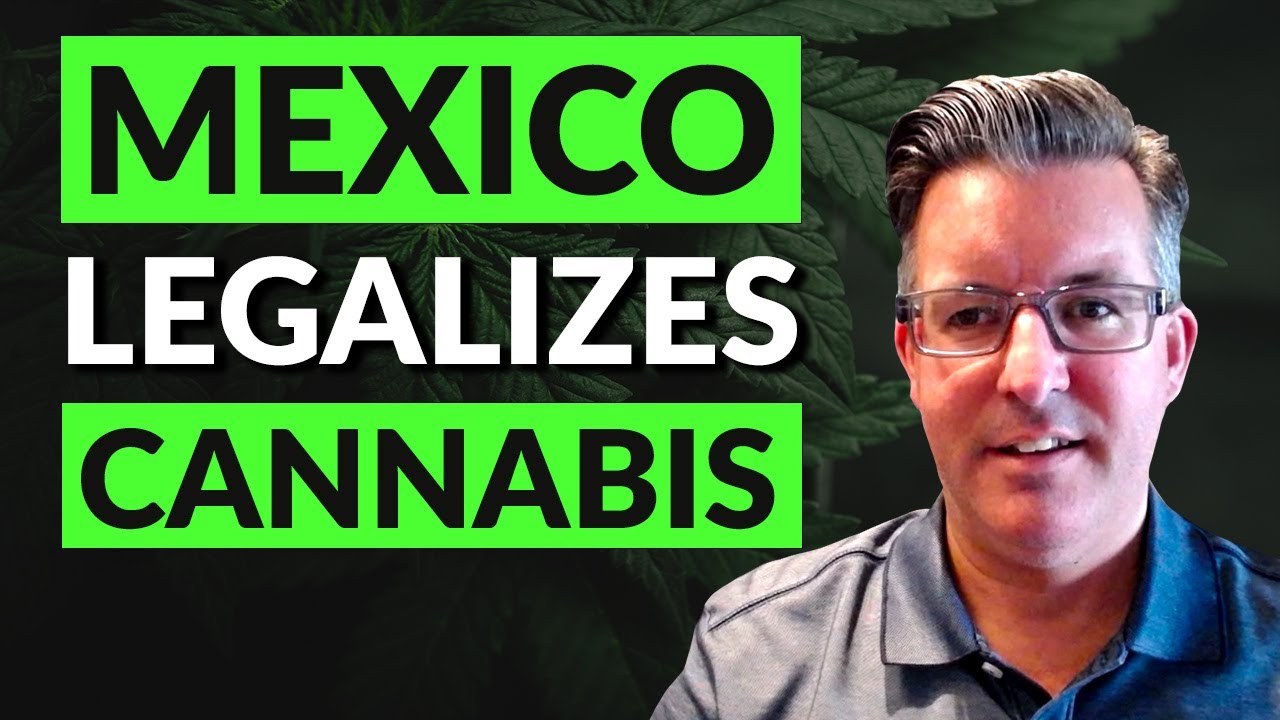 Mexico Legalizes Cannabis, Market Expands and Stocks Take a Hit