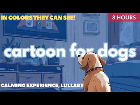 Cartoons TV for Dogs to Watch, 8 Hours | Colors they can see! Stress & Anxiety Relief Music, Lullaby