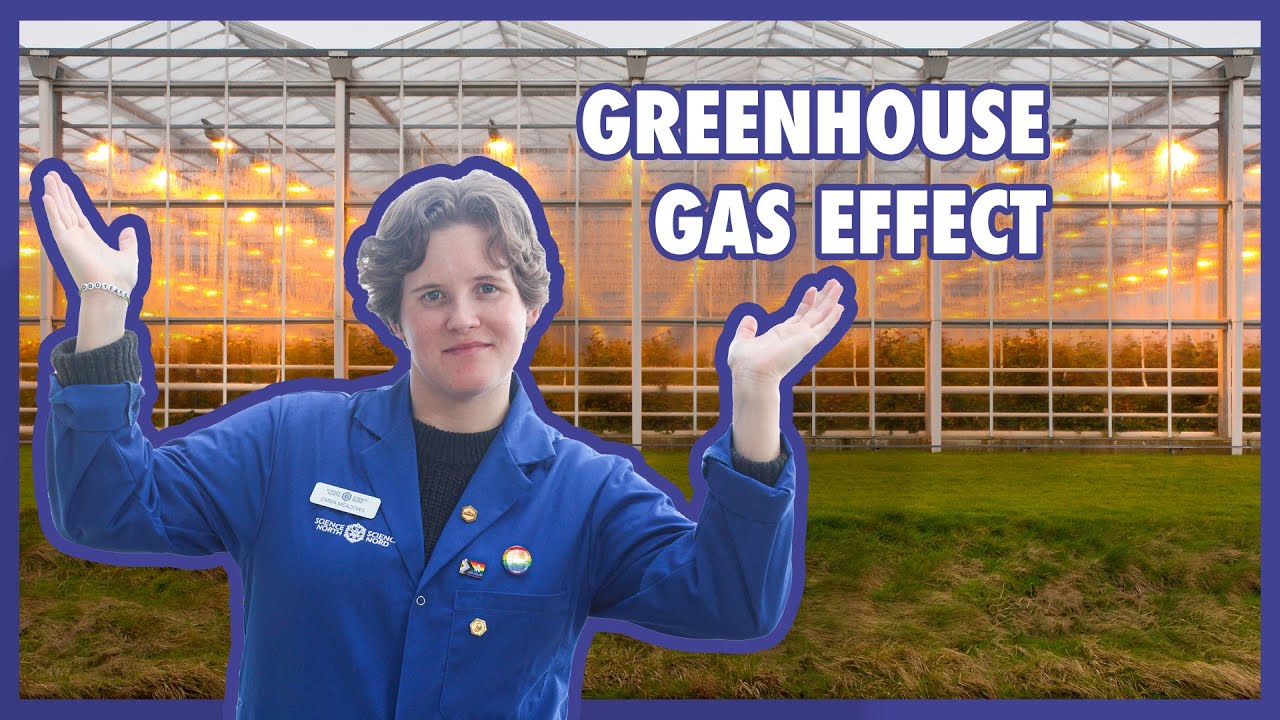How Does the Greenhouse Effect Work?