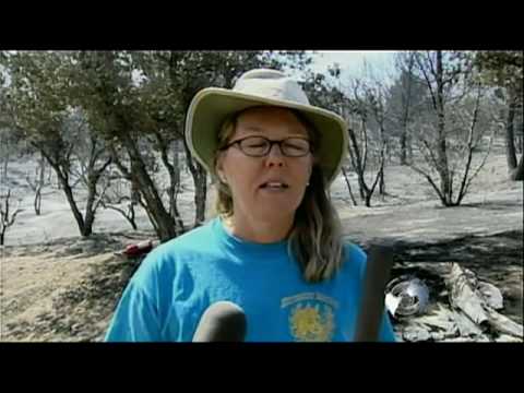 Wildfires Blaze Across So. Calif.