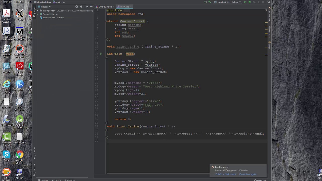 Struct Pointers in C and C++