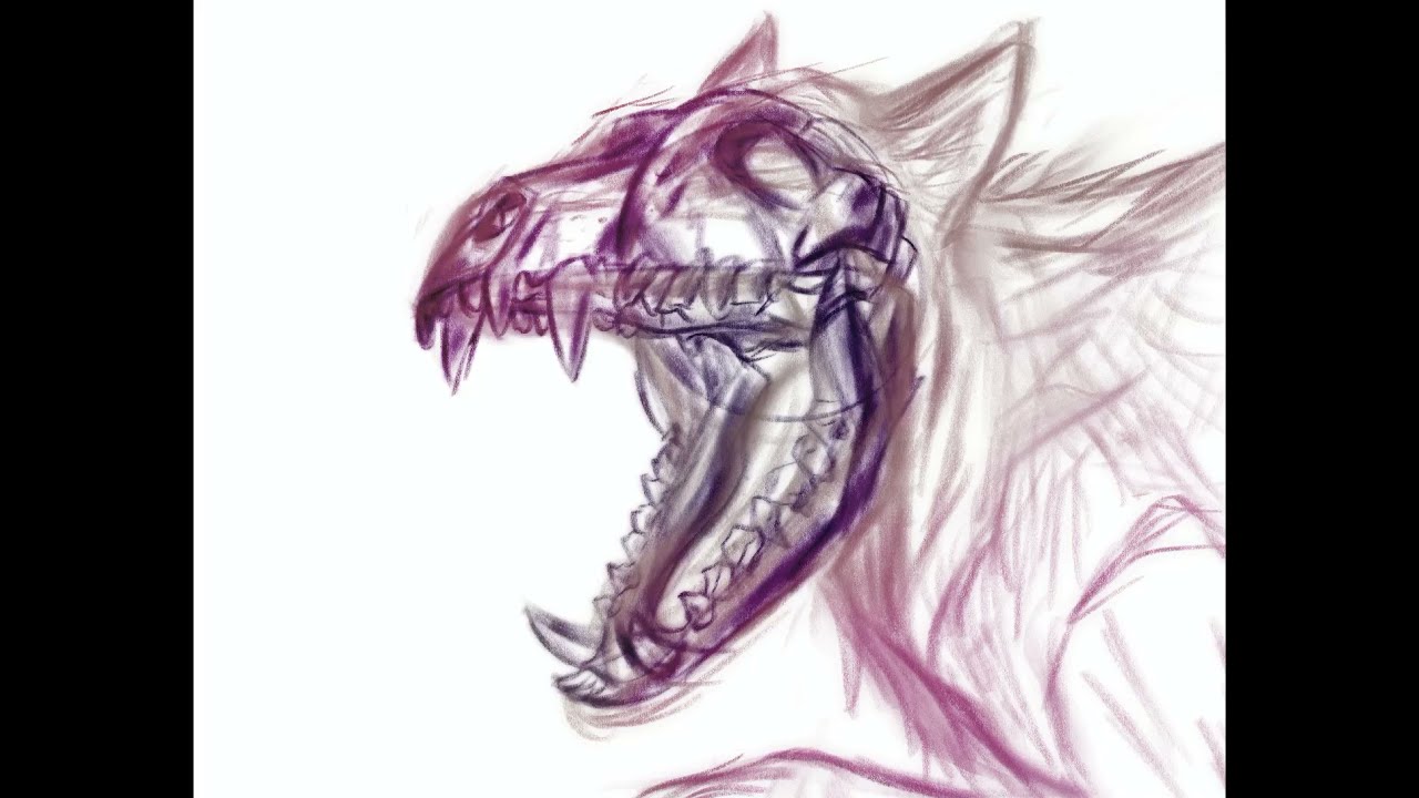 Timelapse - Wolf Illustration in Procreate