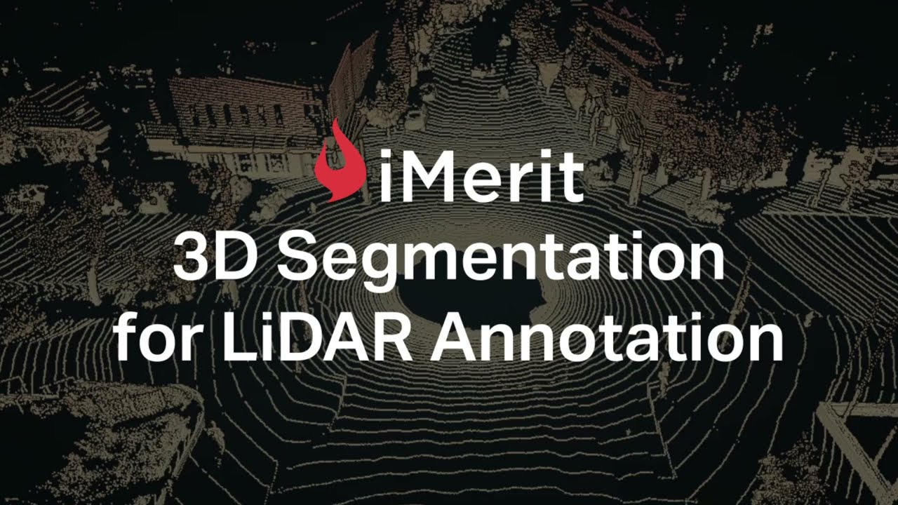 iMerit's 3D Segmentation Tool