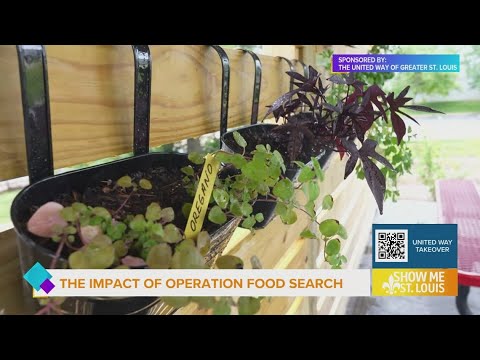 Sponsored: Operation Food Search combats hunger in Greater St. Louis with fresh produce for families