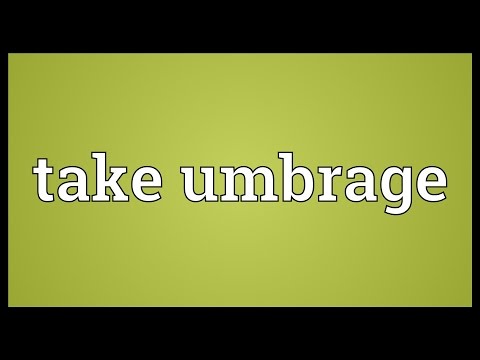 Take umbrage Meaning