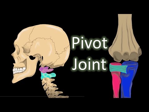 Pivot joint I Movable Joints part - 5
