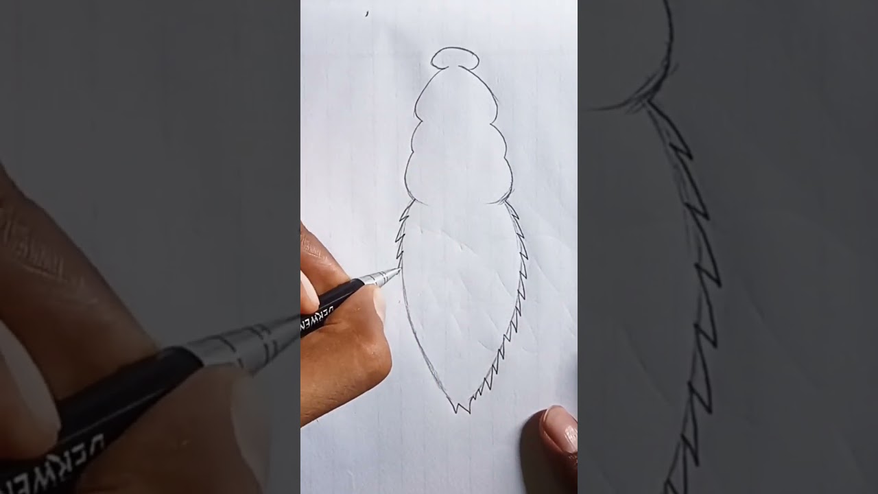 Cockroach / Digestive System diagram